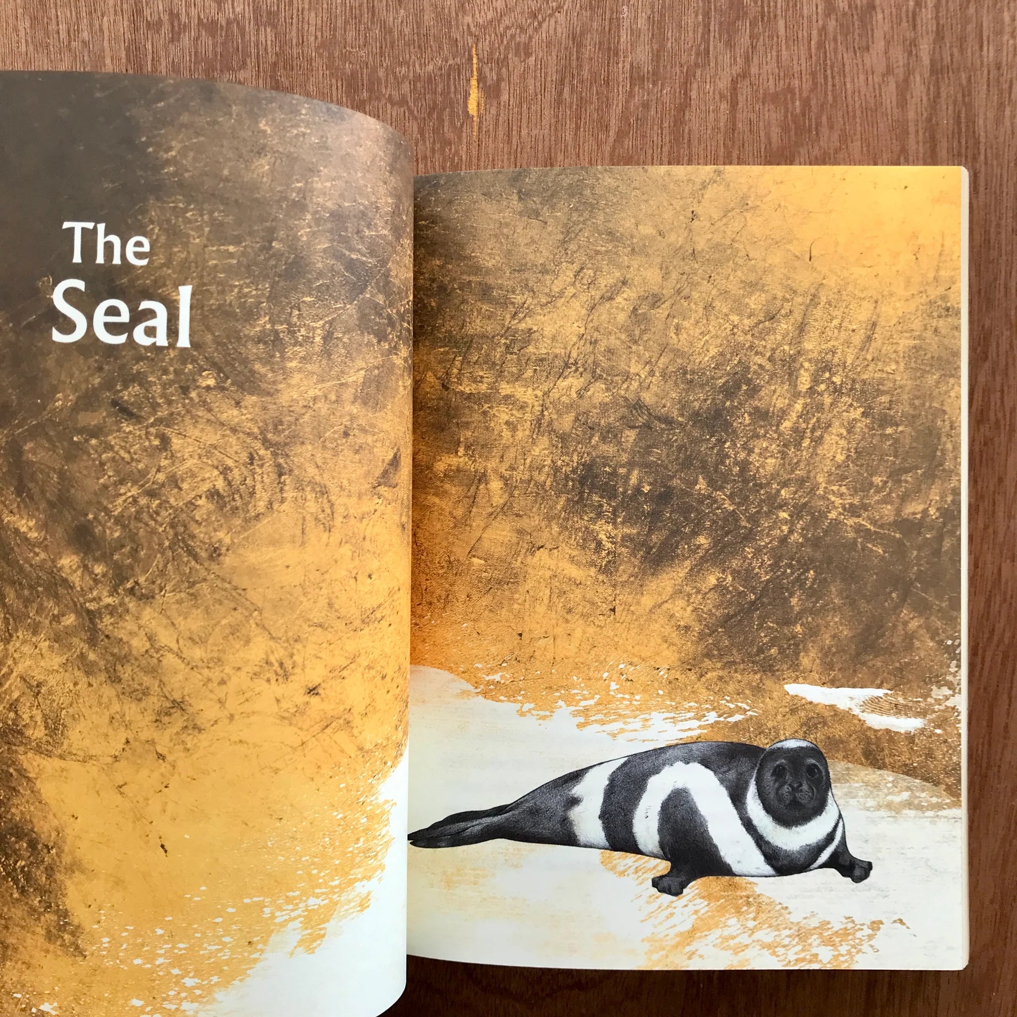 The Golden Mole – Ottie and the Bea